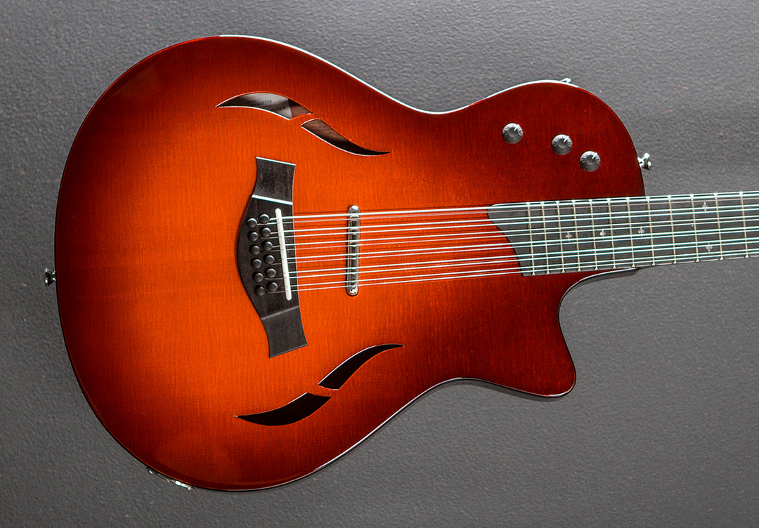 Taylor T-5 Series – Dave's Guitar Shop