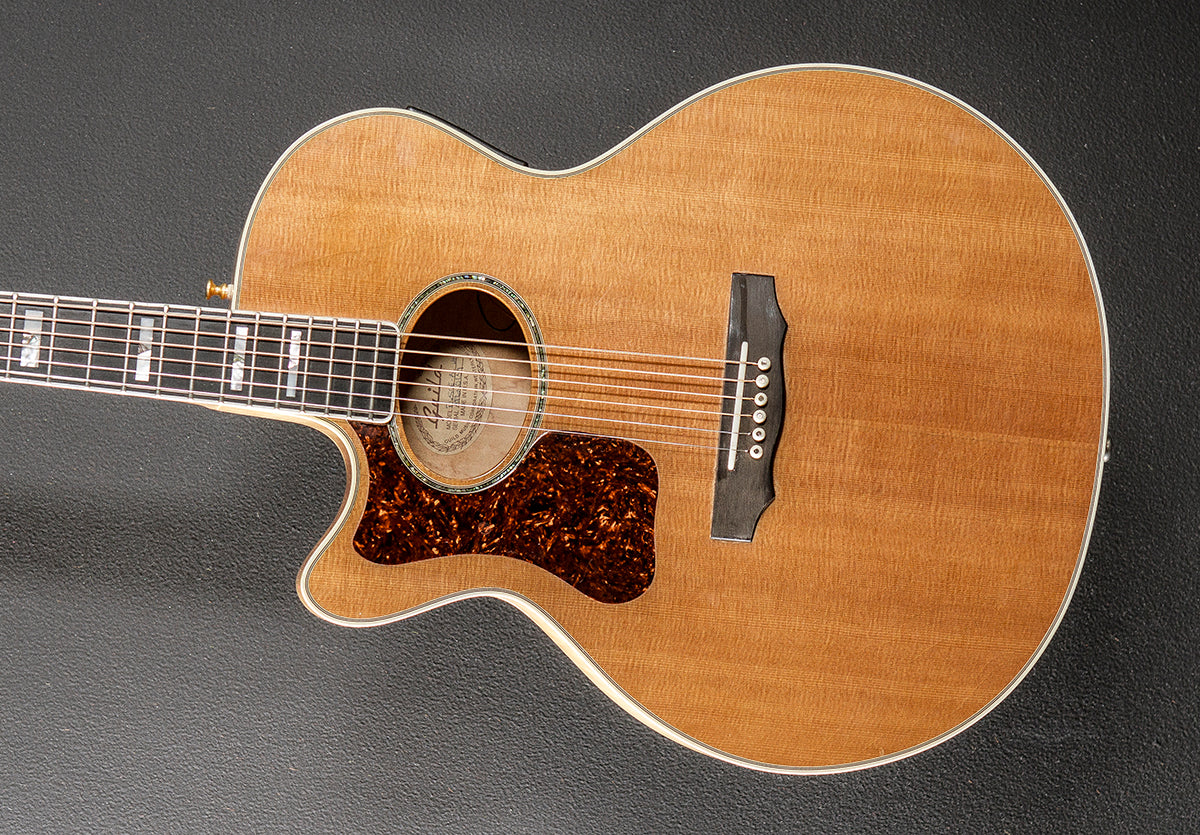 F65CE Left Hand '95 – Dave's Guitar Shop