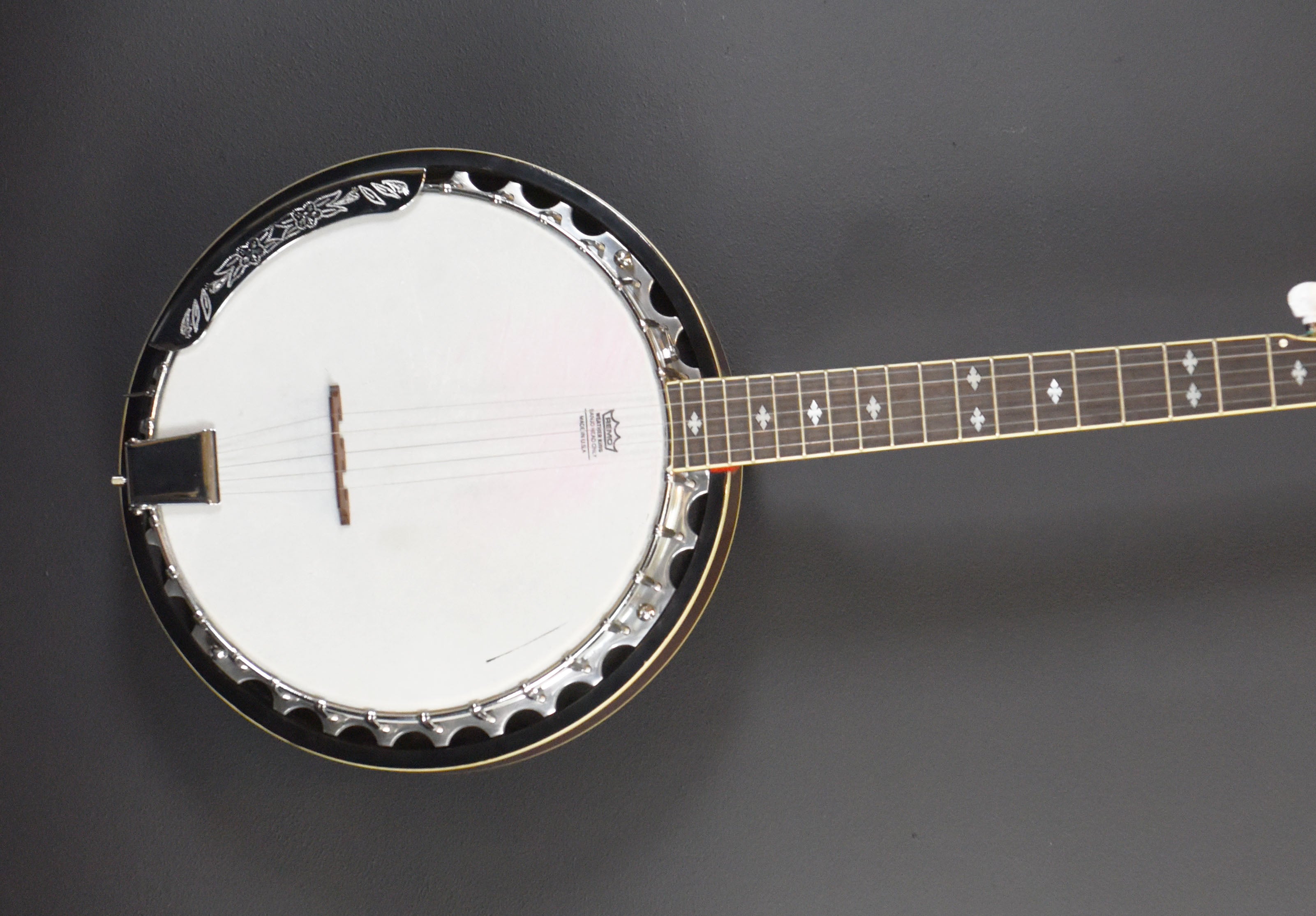 5-String Banjo, Recent – Dave's Guitar Shop