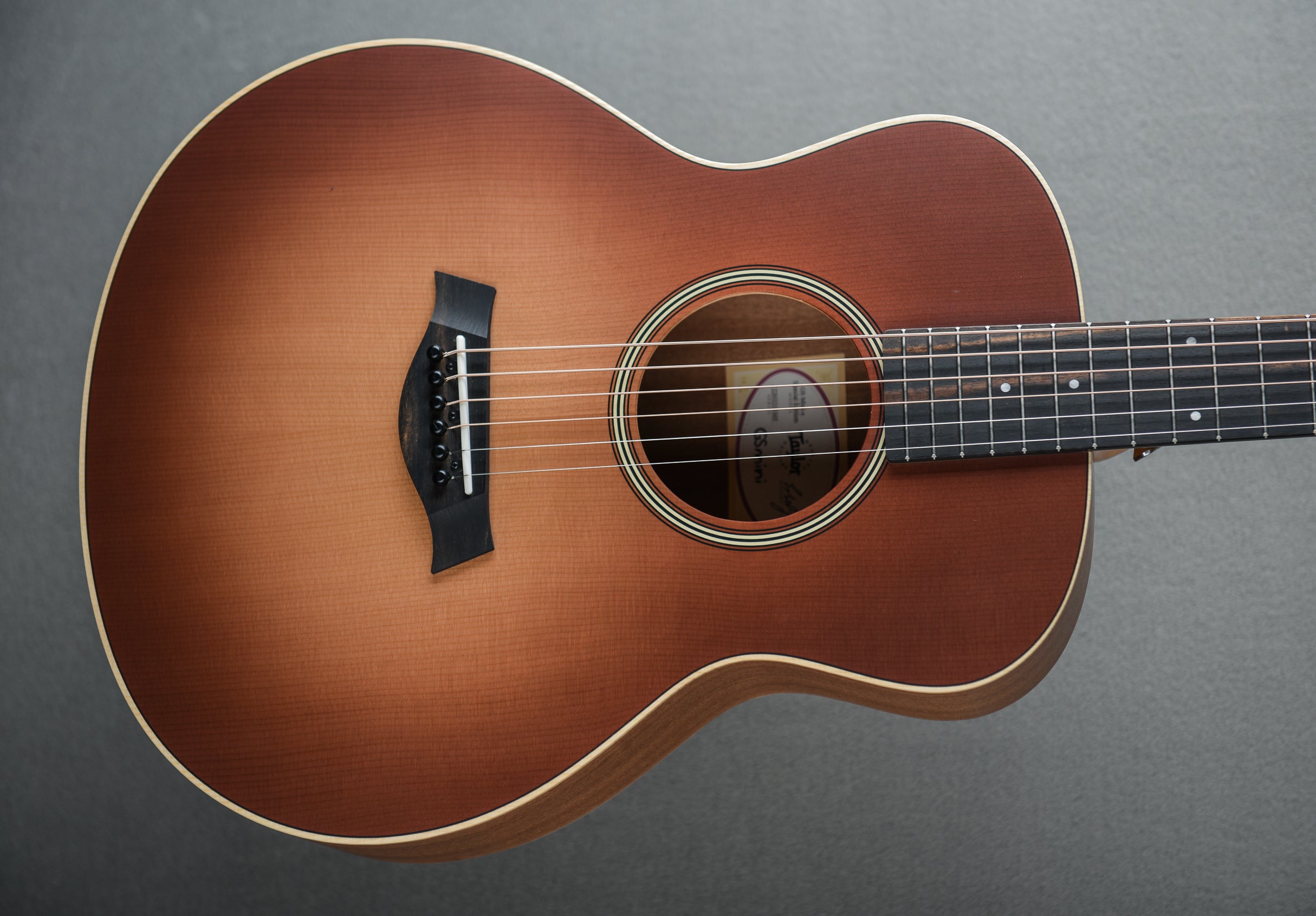 GS Mini-e Special Edition – Dave's Guitar Shop