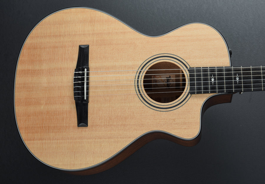 Taylor 300 Series – Dave's Guitar Shop