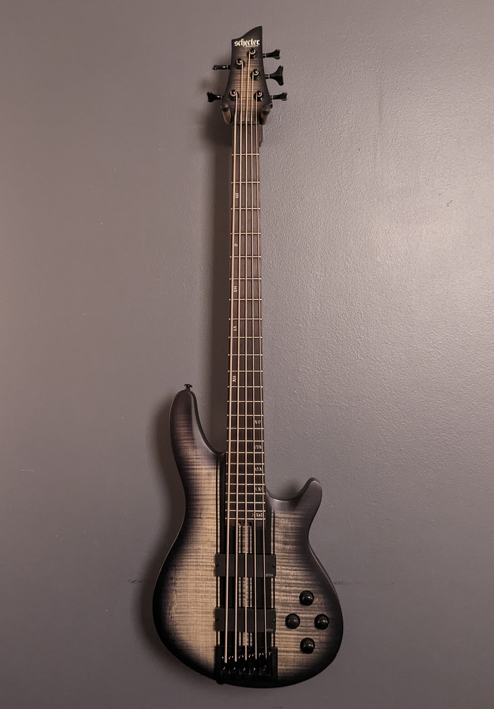 Schecter Basses – Dave's Guitar Shop