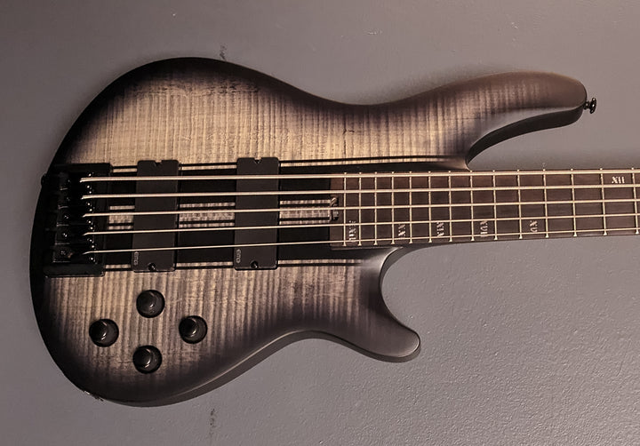 Schecter Basses – Dave's Guitar Shop
