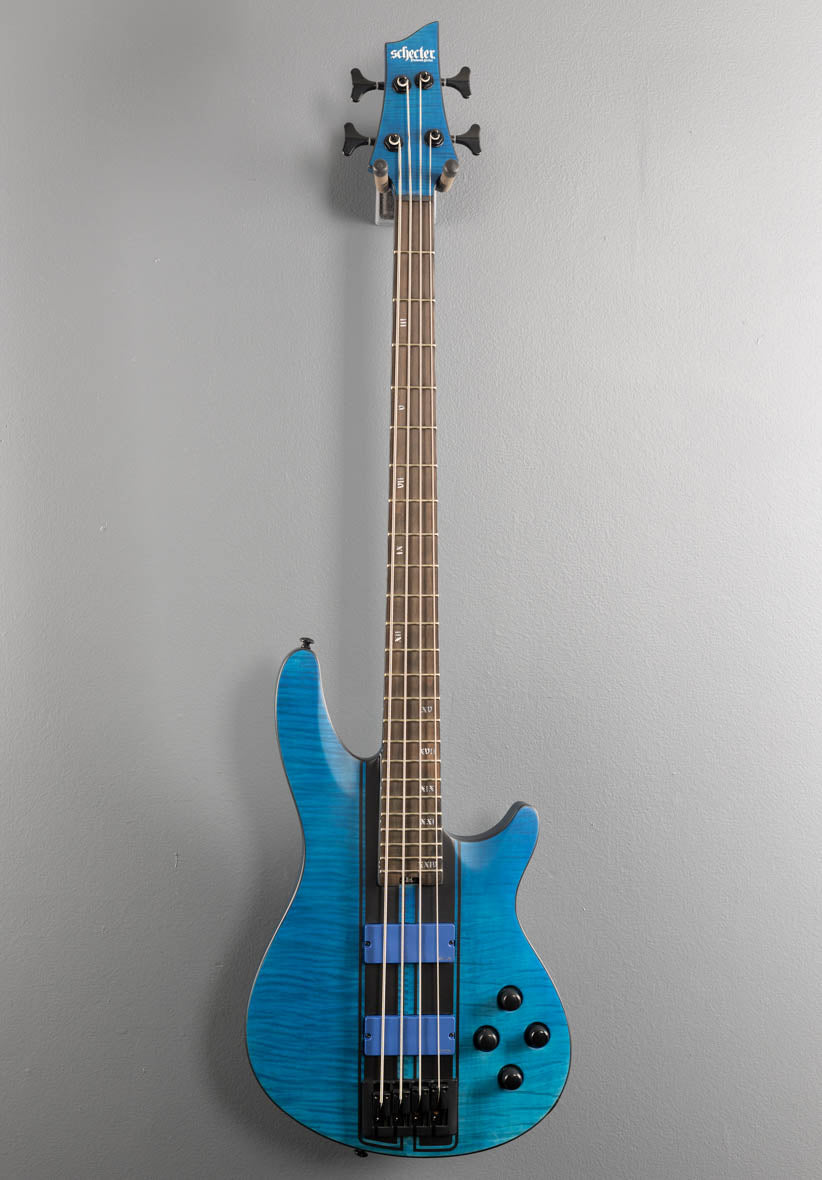 Schecter Basses – Dave's Guitar Shop