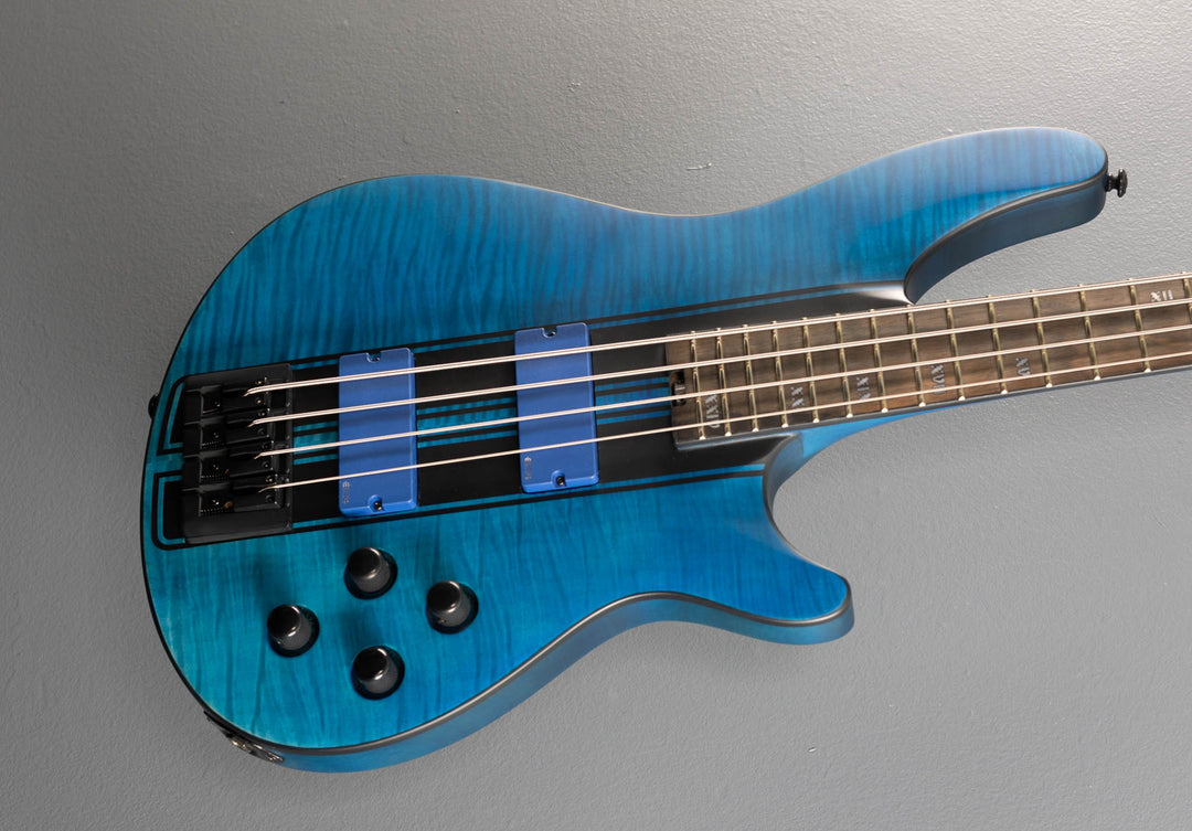 Schecter Basses – Dave's Guitar Shop