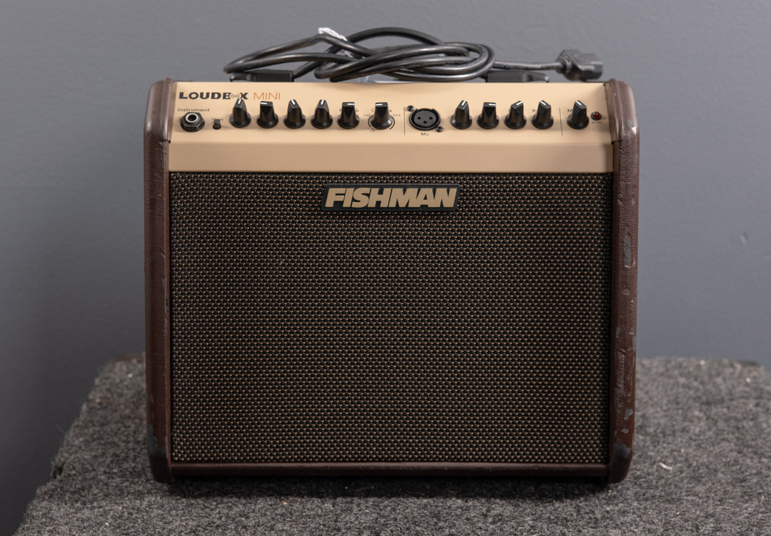 Fishman Amps – Dave's Guitar Shop