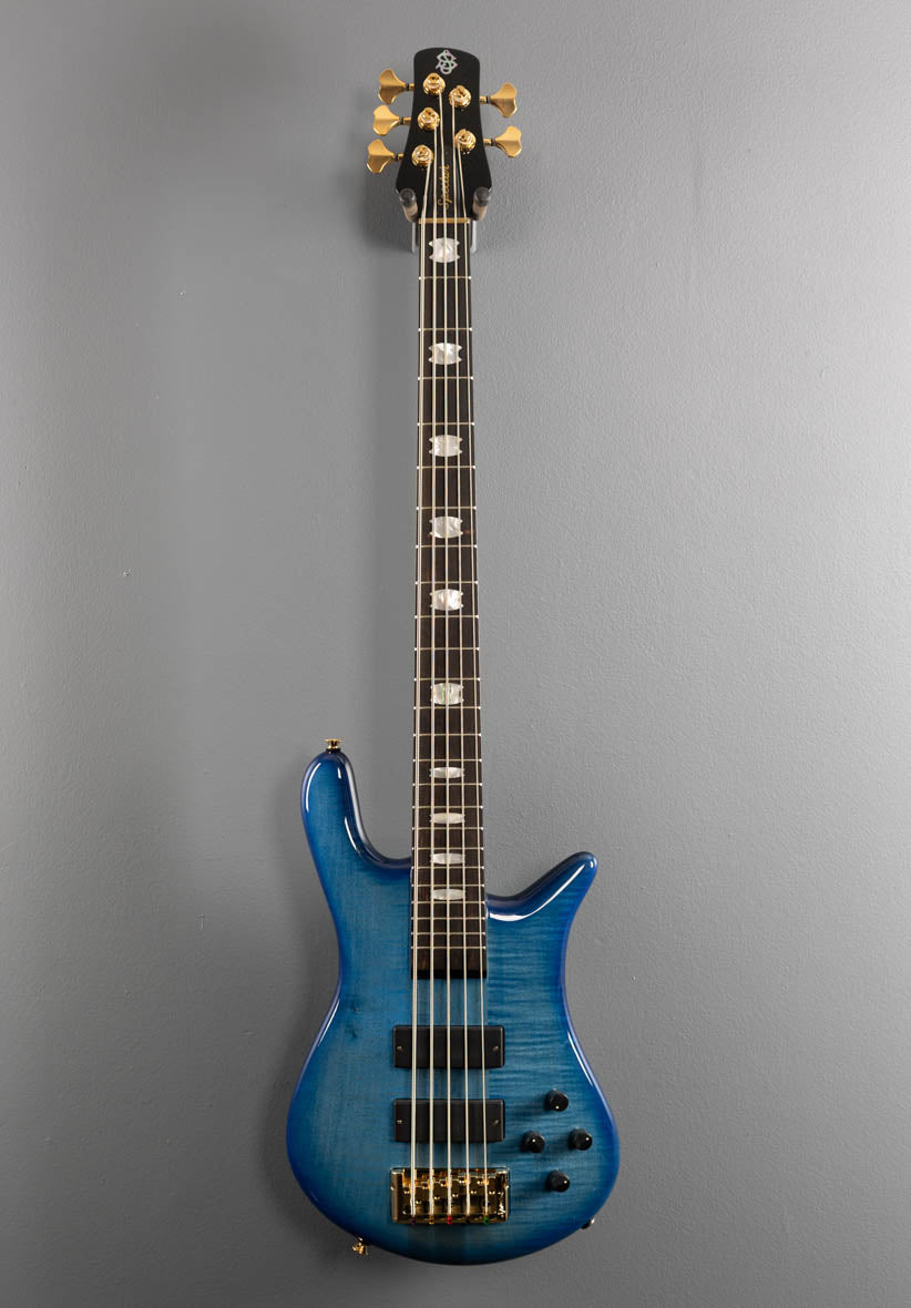 Spector Basses – Dave's Guitar Shop