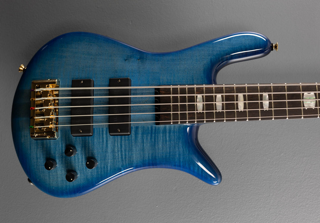 Spector Basses – Dave's Guitar Shop