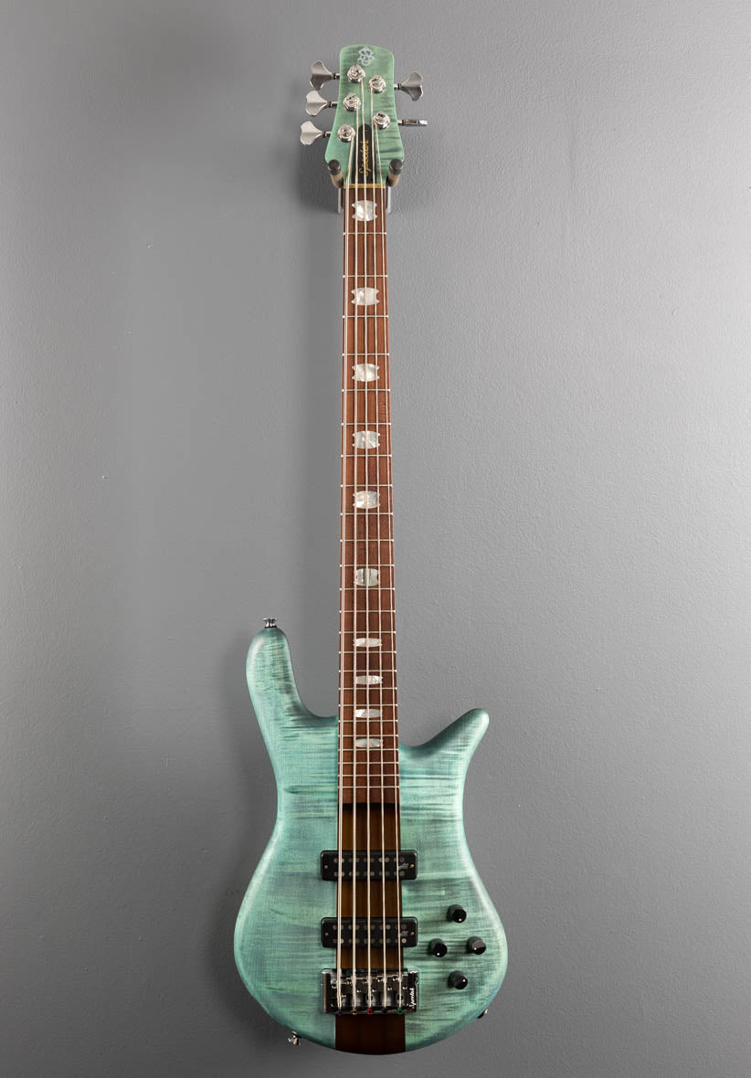 Spector Basses – Dave's Guitar Shop