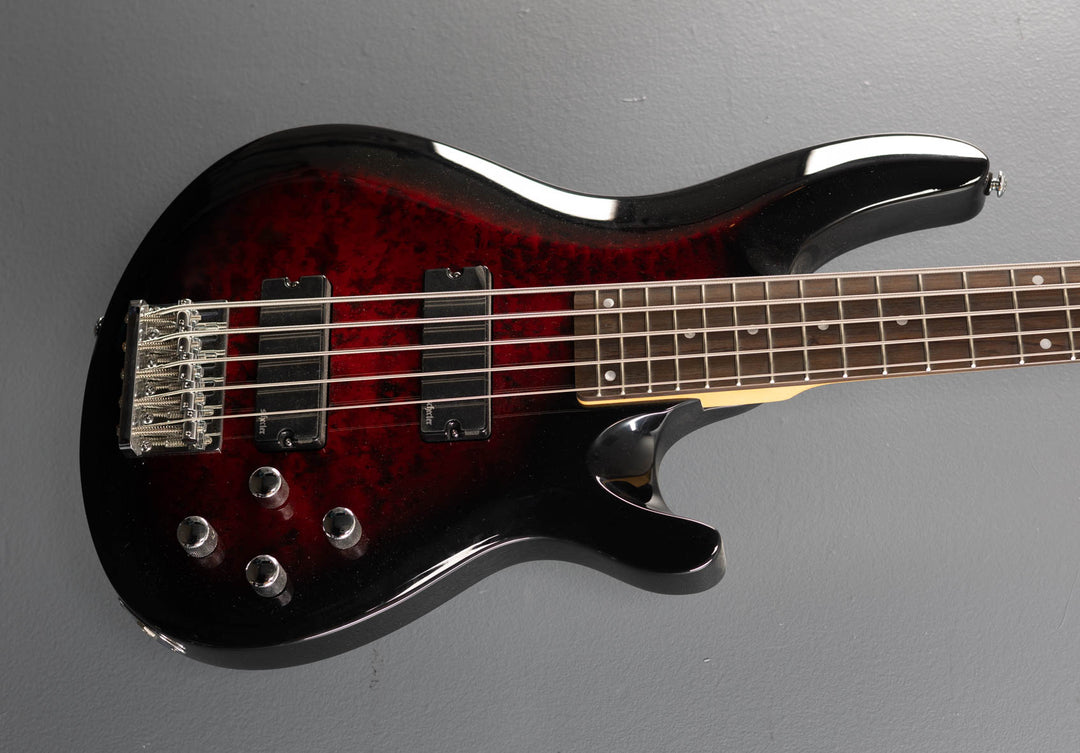 Schecter Basses – Dave's Guitar Shop