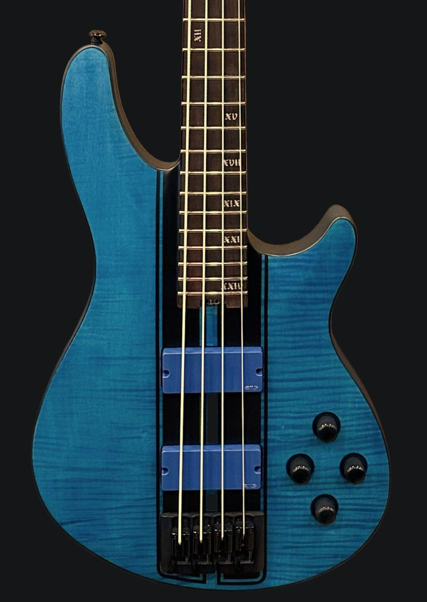 Schecter Basses – Dave's Guitar Shop