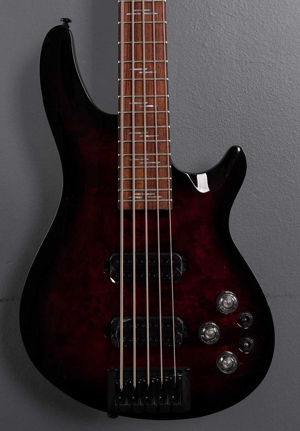 Schecter Basses – Dave's Guitar Shop