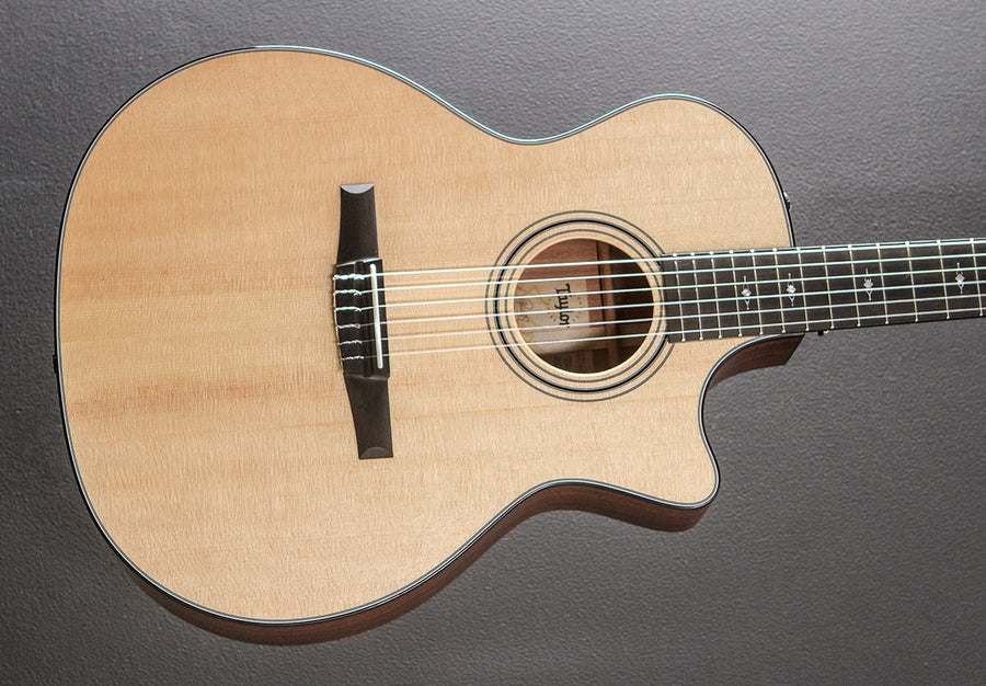 Taylor 300 Series – Dave's Guitar Shop