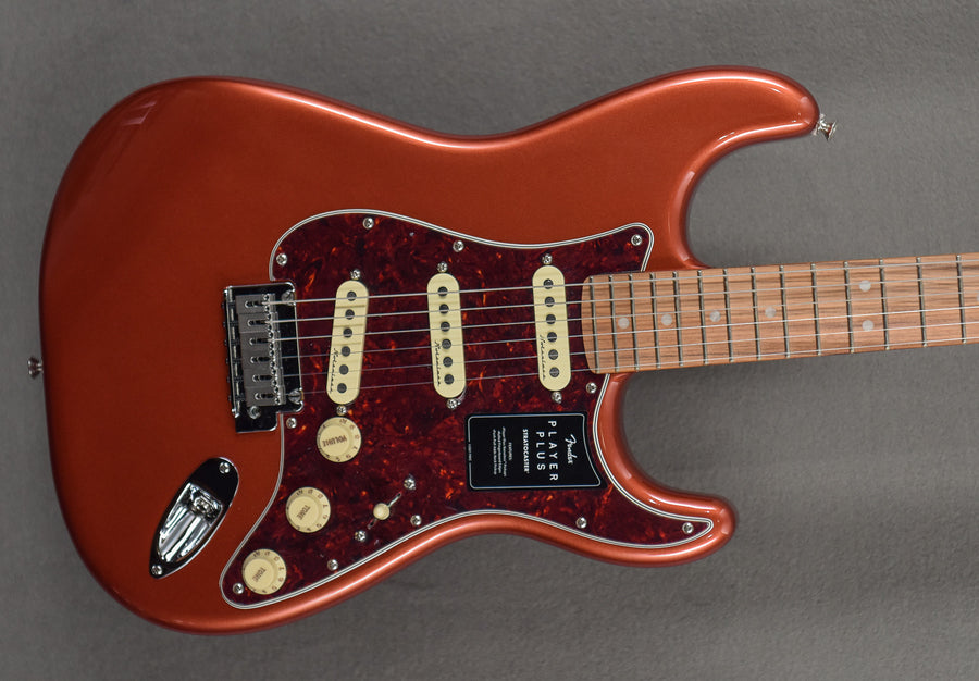 Madison – Dave's Guitar Shop